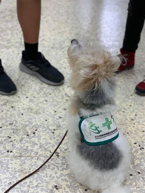 依寶eva娃娃探索新視界 認真的女孩兒👧最美⋯ （是說這背影看得出是女孩兒嗎？） 哥哥姐姐呼喊我，愛寶！愛寶！