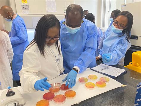 Going Into Battle Future Of Amr Pathogen Genomics And Bioinformatics In Africa Fleming Fund