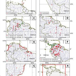 Distribución De Las Especies Del Género Euterpe Diseñado Por Ariel