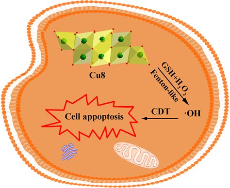 Atomically Precise Octanuclear Cu Ii Complex With [ph2po2]− For Chemodynamic Therapy Yang