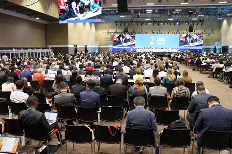 Periódico UNAL Luces y sombras de la COP16