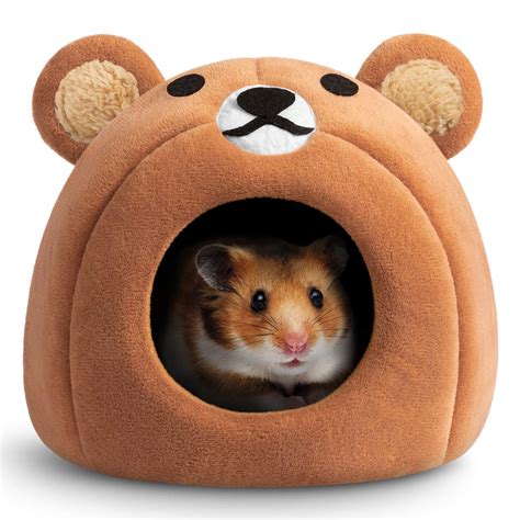 Gray Teddy Bear Hamsters