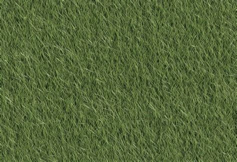 88000 Grass Matt Pictures