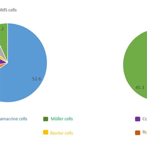 Gene Expression Pattern Of Optogenetically Stimulated Opto Mglur6 Download Scientific Diagram