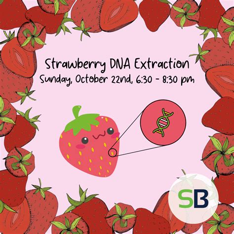 Strawberry Dna Extraction Science In Seattle