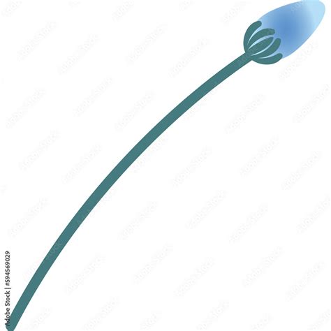 Gradient Flower Illustration Beautiful Flowers Blue Flower Png