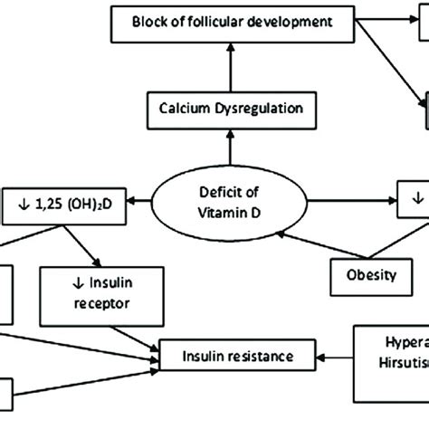 The Role Of Vitamin D Deficiency On The Pathogenesis Of Pcos Shbg Sex