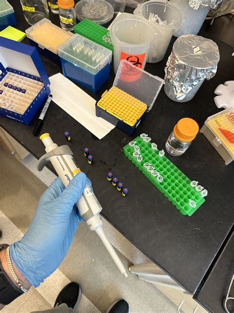 Im Excited To Share My Research Experience In Sams Light Lab At