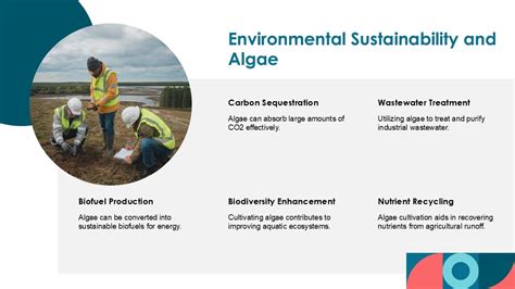 Environmental Sustainability And Algae Ppt Outline Acp Ppt Presentation