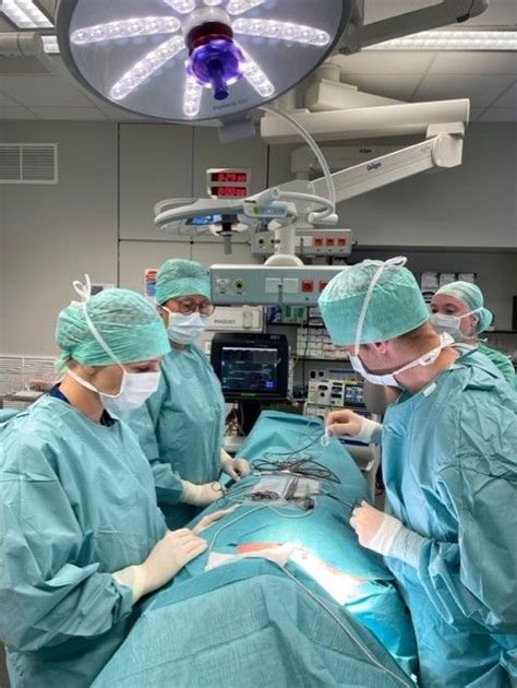 Sam Van Slycke On Linkedin Focused Clinic Thyroidectomy In Day Clinic Olv