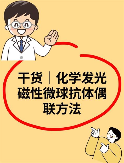 化学发光免疫分析：抗体偶联攻略💡