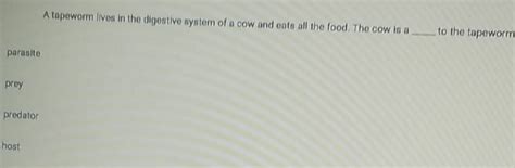 A Tapeworm Lives In The Digestive System Of A Cow And Esta All The Food