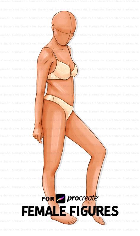 Procreate Body Stamps Procreate Body Brushes Female Body Stamp Curvy Girl Template Procreate