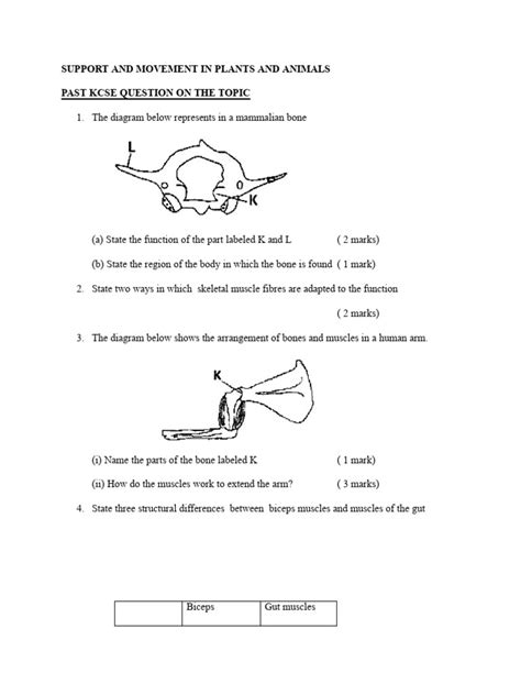 Bio Form 4 Pdf Vertebral Column Musculoskeletal System