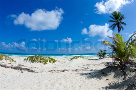Beach Stock Image Colourbox