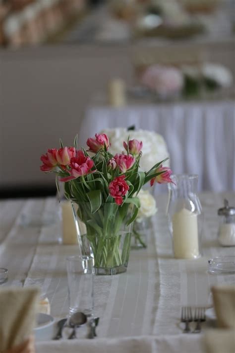 Free Picture Elegant Vase Pinkish Carnation Petal Flowers Flora