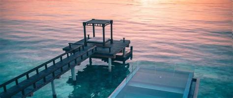 阎连科：作家是那种无论多么幸福，他内心都充满焦虑和不安的人写作秦腔作品