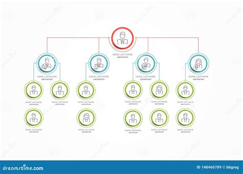 Business Structure Organisation Chart Infographic Design Vector 65882222