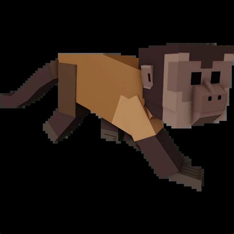 Capuchin Amazon Ascension Wiki Fandom