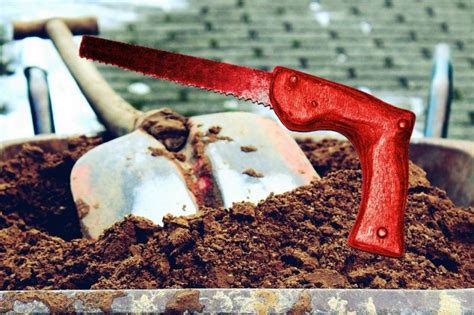 Daniel Rudenko Jugé Pour Avoir Poignardé Et Découpé Sa Compagne La Plaine Des Vosges