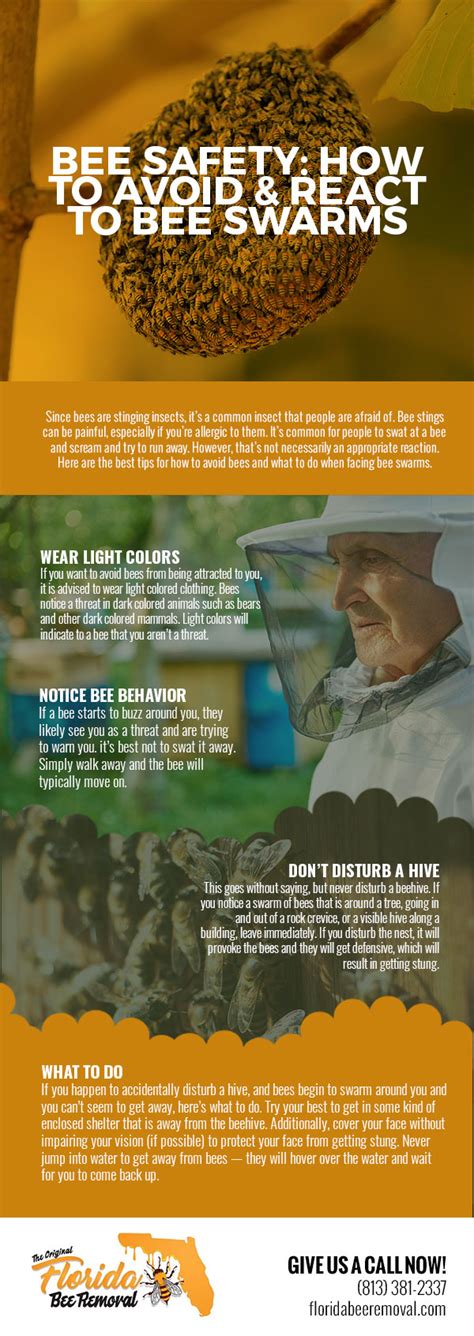 Bee Safety How To Avoid And React To Bee Swarms Infographic Florida