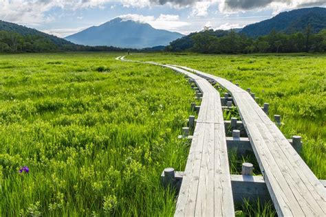 【群馬絕景登山遊】日本最大高原溼地「尾瀨之原」＆尾瀨國立公園健行一日遊｜東京出發 Kkday