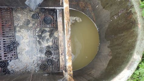 Rectification Of Clearwater Sewage Treatment Plant Wastewater