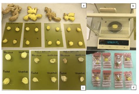 Schematic Representation Of Ginger Samples A Samples Of Fresh Ginger