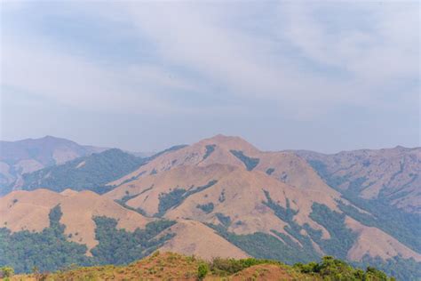 รูปภาพbuja เลือกดูภาพถ่ายสต็อก เวกเตอร์ และวิดีโอ181 Adobe Stock