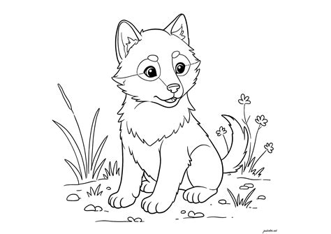 Junger Wolf In Der Natur Ausmalbilder Von Wölfe Zum Ausmalen