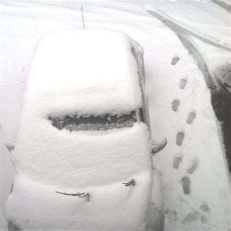 My Bug Is Frozen Bugs Slippers Fashion