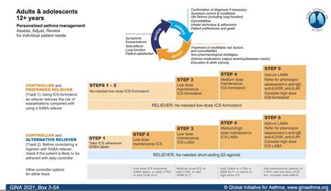Asthma Treatment Guidelines 2022 At Jamie Lamont Blog