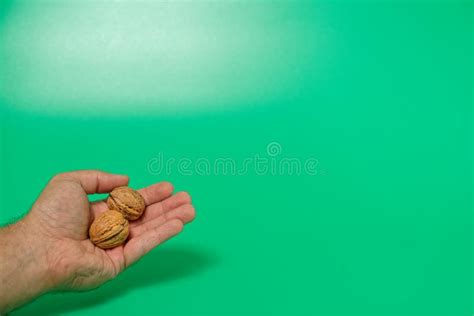 Hand Holding Magnifying Glass And Bugs On Paper With Printed