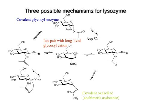Ppt Primary Objectives Of These Lectures Powerpoint Presentation