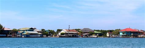 The Route To Turtle Grass Turtle Grass Roatan