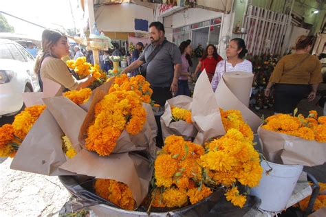 Precio De Flores Aumenta Por Alta Demanda En Torreón Grupo Milenio