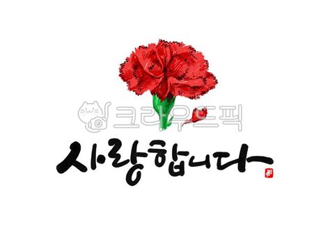 카네이션 어버이날 스승의날 가정의달 꽃잎 사진 이미지 일러스트 캘리그라피 홍다랑작가