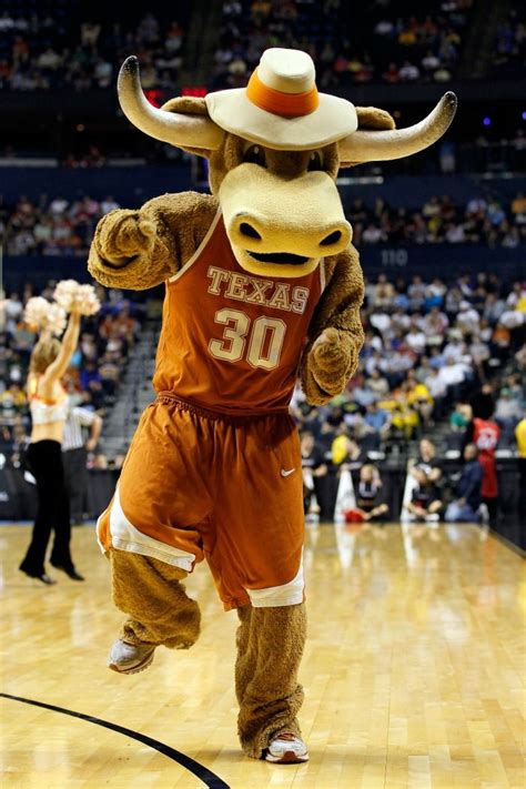 Texas Longhorns Mascot