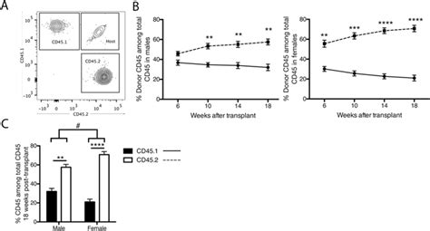 A Sex Specific Reconstitution Bias In The Competitive Cd451cd452