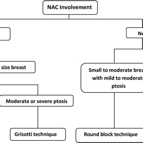postoperative views a round block technique b batwing mastopexy