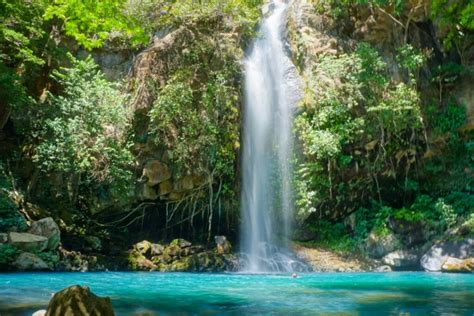 Descubre El Bosque De La Hoja En Heredia Centro Recreativo