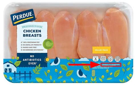 How To Make Chicken Breasts Not Suck A Complete Guide For Beginners