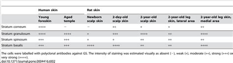 Age And Region Dependent Distribution Of Glutamine Synthetase In Human