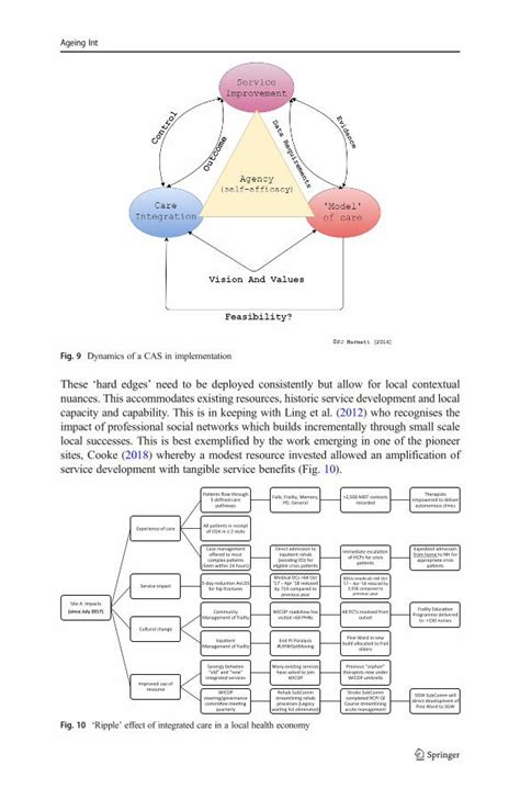 Pdf A 10 Step Framework To Implement Integrated Care For Older