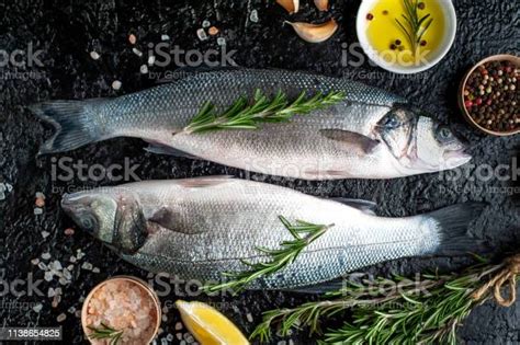 신선한 생선 씨 베이스 원시 바다 베이스 물고기 향신료와 허브 재료 콘크리트에 로즈마리에 대한 스톡 사진 및 기타 이미지