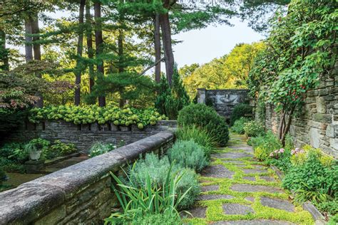 Olmsteds Legacy Of The Land Flower Magazine