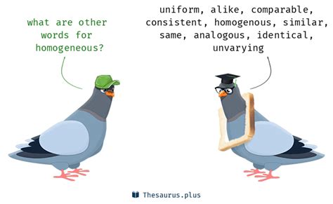 More 340 Homogeneous Synonyms Similar Words For Homogeneous