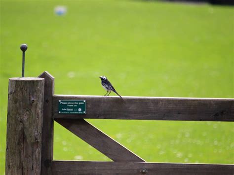 Gate Keeper Free Photos On