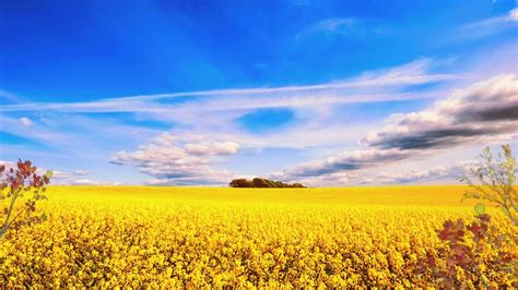 Clouds No Copyright Video Sky Copyright Free Videos Agriculture