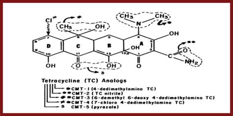 Chemically Modified Tetracyclines Intechopen